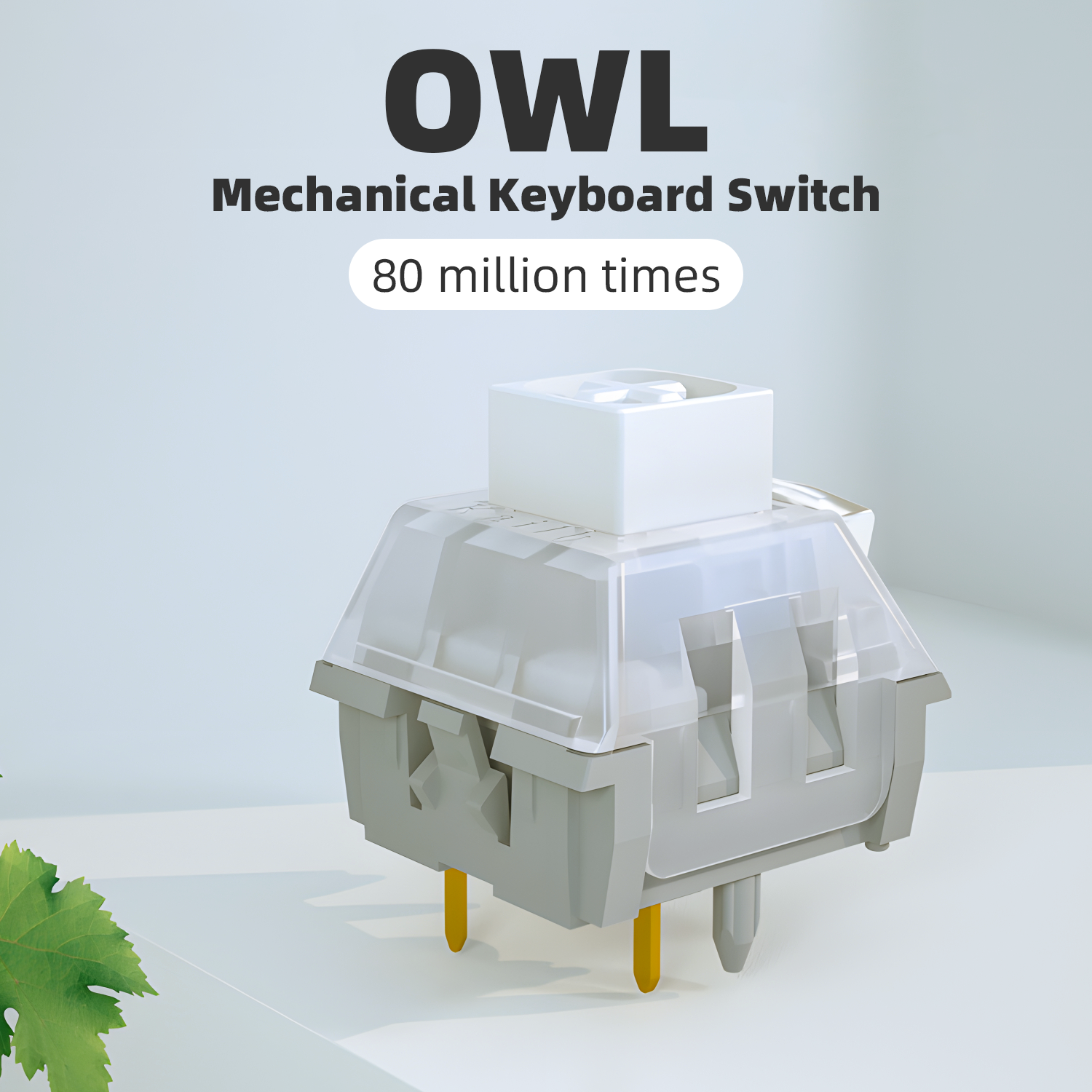 Kailh Box Owl White Switch Mechanical Keyboard Switch Waterproof and D